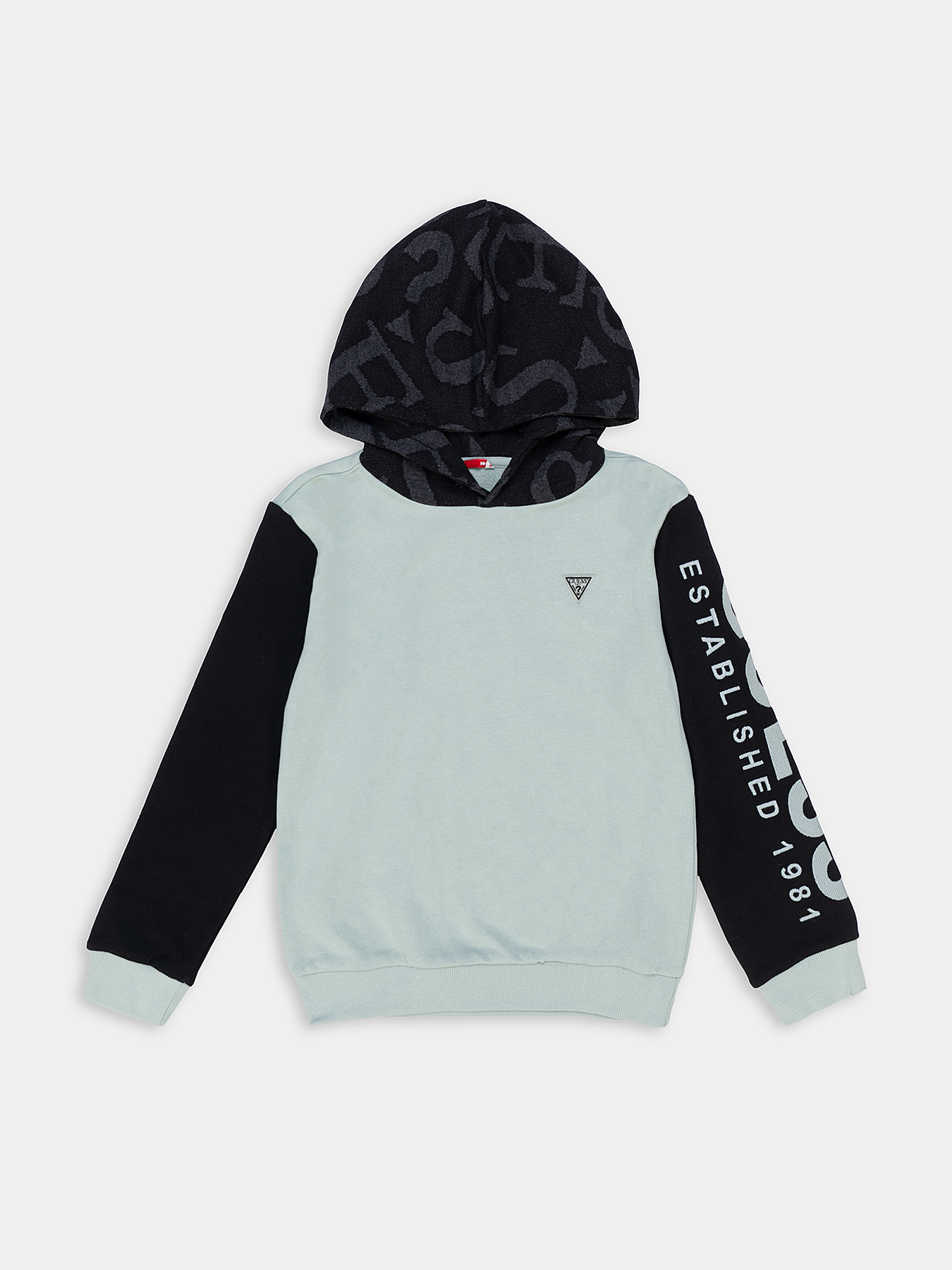 Hooded sweatshirt with logo detail brand GUESS — Globalbrandsstore.com/en